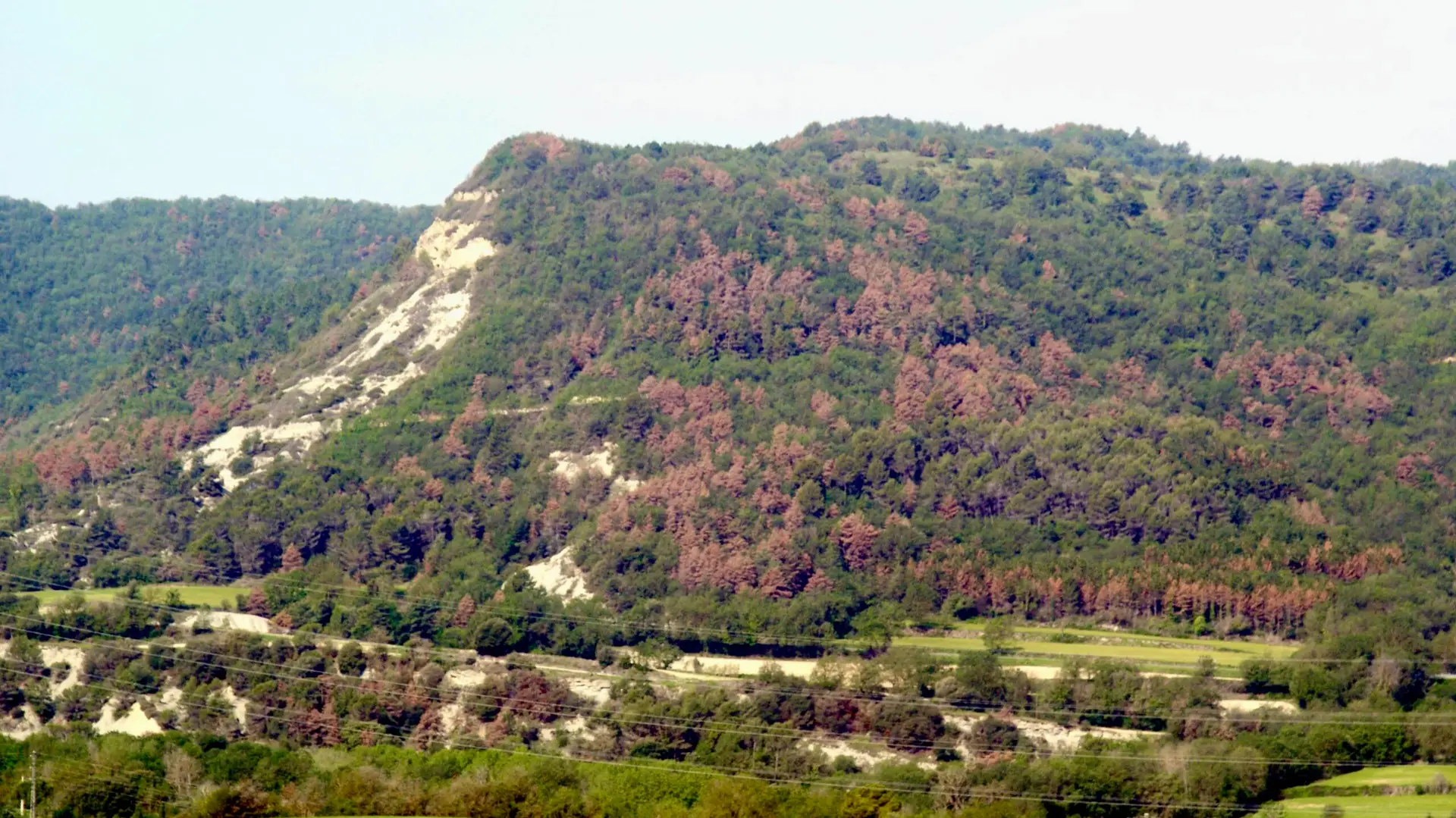 El ritmo de la sequía - Alerta Forestal
